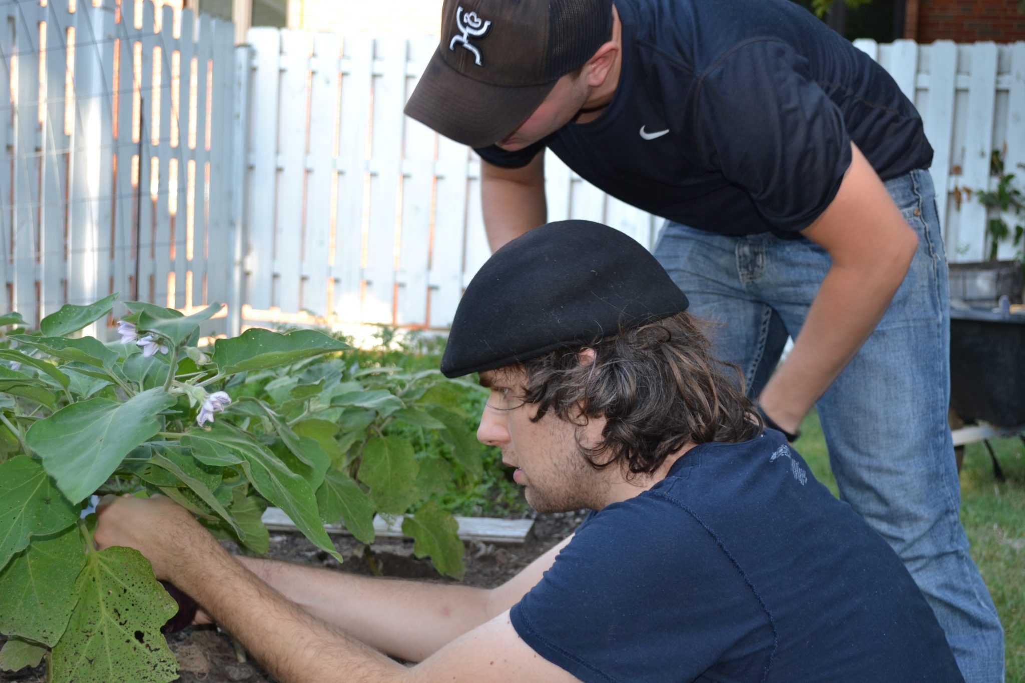 Landscape Crew Grows Skills for the Workplace - Boone County Family ...